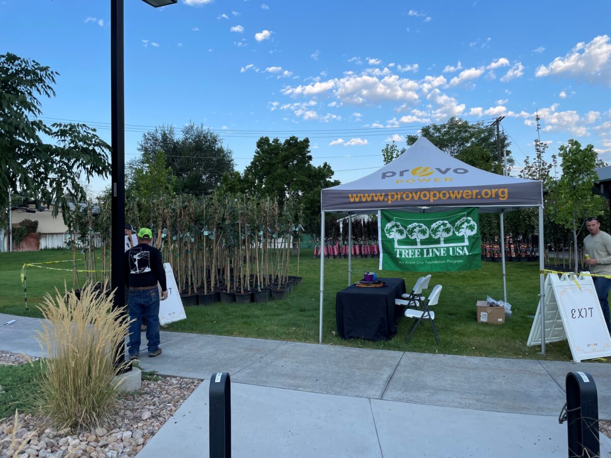 Provo Power preparing for yearly free tree giveaway | News, Sports ...